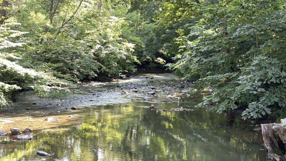 Rondout Valley RV Campground - The Good And Not So Good